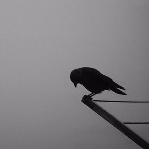 Stream THE SADNESS OF A PIPPI BIRD by DJ4SURE | Listen online for free ...