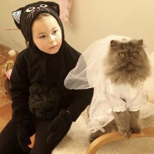 Stream Justin Kocher | Listen to Angus, Thongs, and Perfect Snogging ...