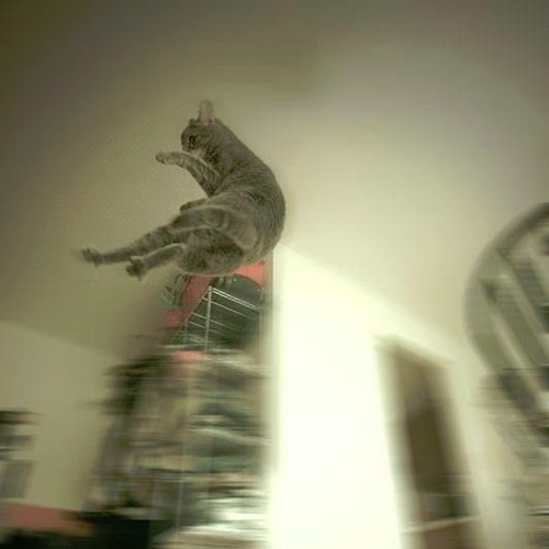 Stream Smiley Face - Cat From Japan - 1993 by Anthony Snitzer | Listen ...