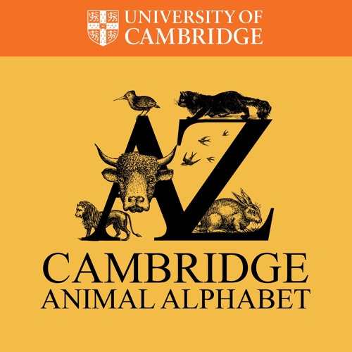 Stream University of Cambridge | Listen to Cambridge Animal Alphabet ...
