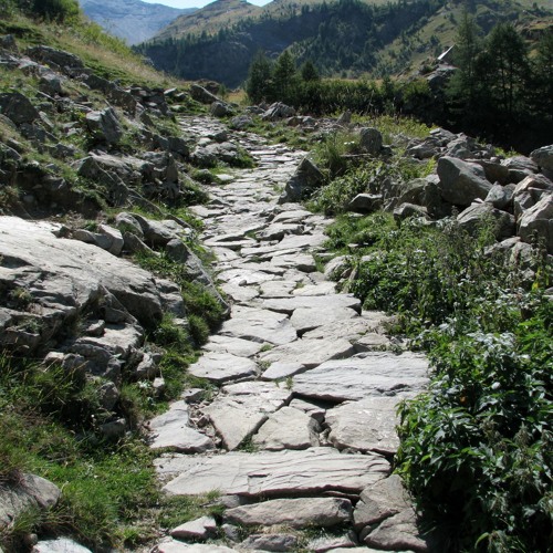 Stream Lofty305 X Mike Dece - Tumblrmabb (Prod. Hovey Benjamin) by ...