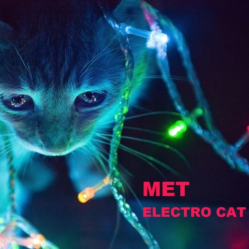 Stream Electro Cat by MET | Listen online for free on SoundCloud