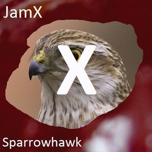 Stream JamX - Sparrowhawk (Original Mix) by JamX | Listen online for ...