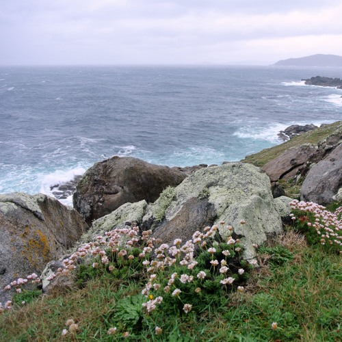 Stream Ejemplos variados by giles-baker | Listen online for free on ...