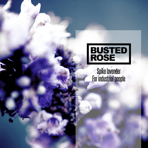 Stream Playground(INSTRUMENTAL) by BUSTED ROSE | Listen online for free ...
