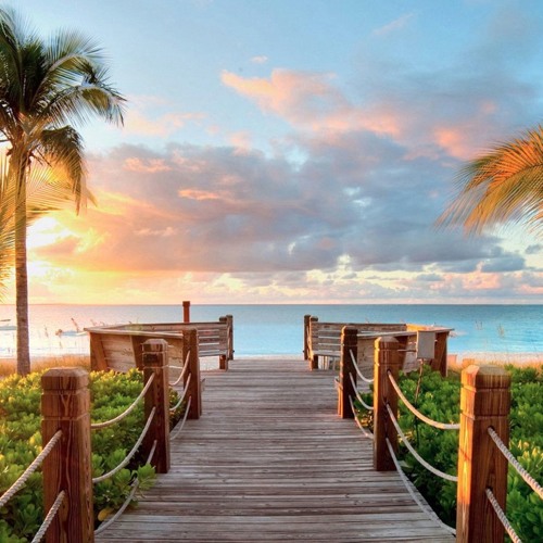 Stream Tropical Dance (Jam session) - Ray Burton (Papi Ced) by Young ...