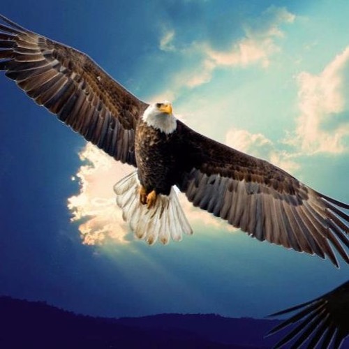 Stream El Condor Pasa - The Best Ever Natural Version by Blacki ...