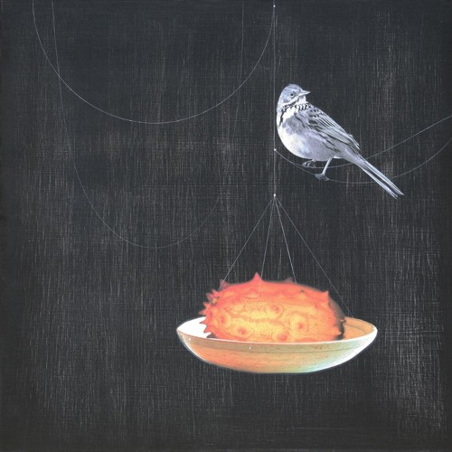 Stream Mangled Colossus by For Trees & Birds | Listen online for free ...