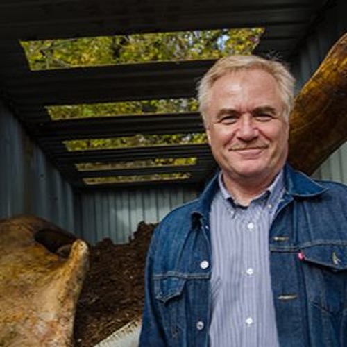 Stream Episode 3: Dr. Mark Engstrom by ROMcast | Listen online for free ...