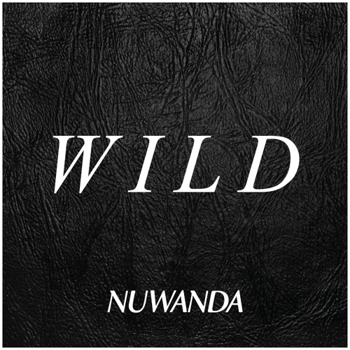 Stream Wild (Original Mix) by NUWANDA | Listen online for free on ...