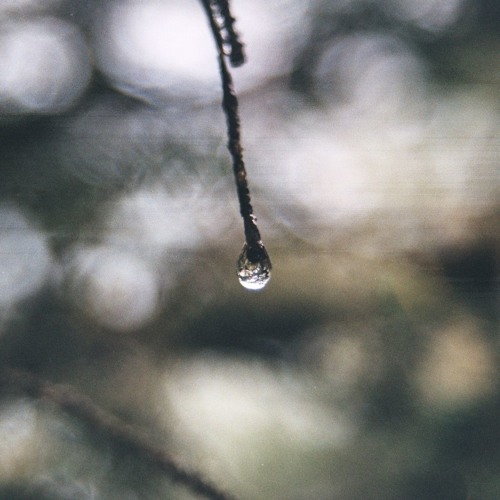 Stream Twin Peaks by Ben Forsberg | Listen online for free on SoundCloud