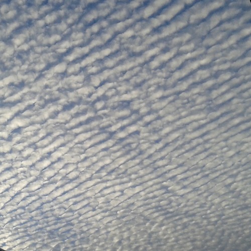 Stream Operation Evolution - Dimrain47 by McNoodleton | Listen online ...