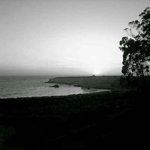 Stream Another Monday Gone by MJT by High Spirits Flutes | Listen ...