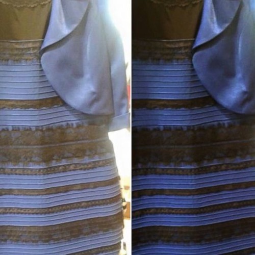 Stream Neural Computations Underlying Perceptual Uncertainty: David ...