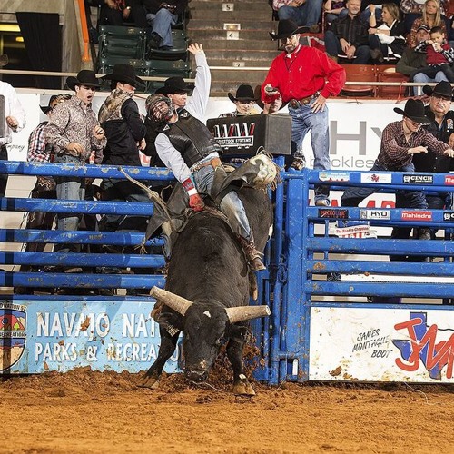 Stream Matthew Birdwell Interview by Championship Bull Riding | Listen ...