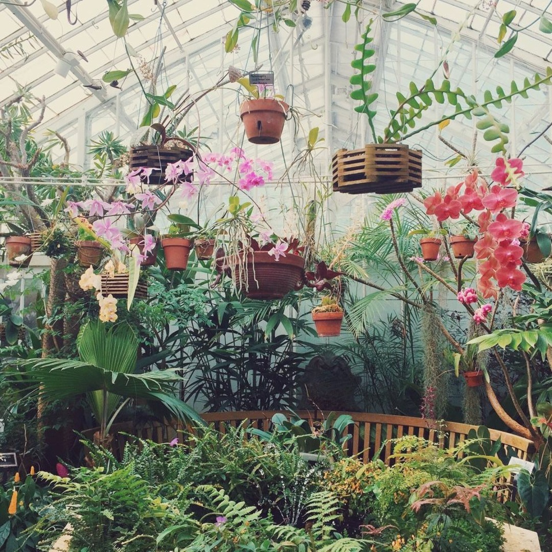 Stream Kasto Mazza by Rayhana Sultan | Listen online for free on SoundCloud