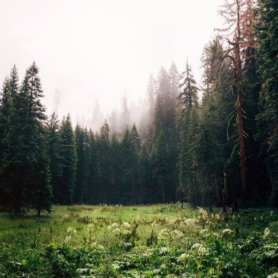 Stream Jeremy Riddle: Fall afresh (translation demo) by synes estimony ...