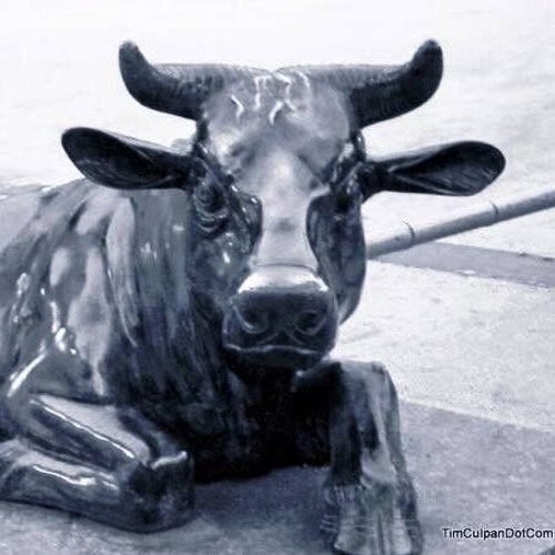 Stream Episode 95 The TSMC Group With Tim Culpan by analyseasia ...