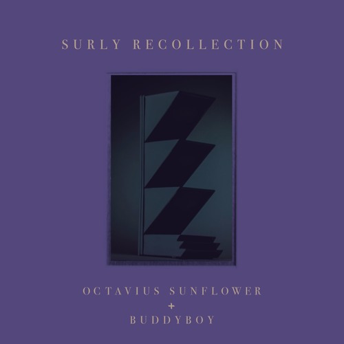 Stream BUDDYBOY | Listen to Surly Recollection playlist online for free ...