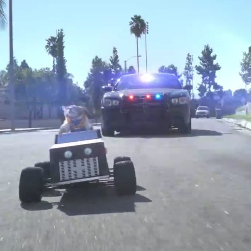 Stream Cat Cop Chase by Andrew Gerlicher | Listen online for free on ...