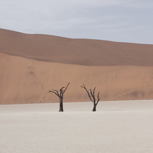 Stream "Wavy Paradise" Guestmix 2: DJ RSTCH by The Paradise Reef ...