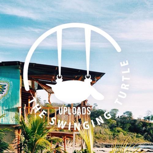 Stream The Swinging Turtle | Listen to Theswingingturtle fam playlist ...