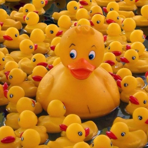 Stream Rub a Wub Wub by Cam Moore | Listen online for free on SoundCloud Stream Rub a Wub Wub by Cam Moore | Listen online for free on SoundCloud