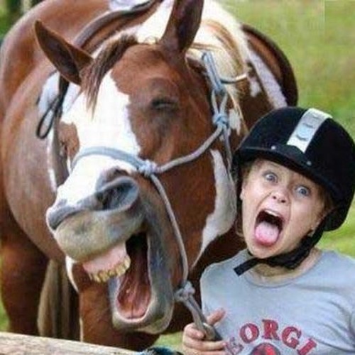 Stream 愚かな馬 Silly Horse (AMIGA VST) by Tobikomi とびこみ (Old Stuff ...