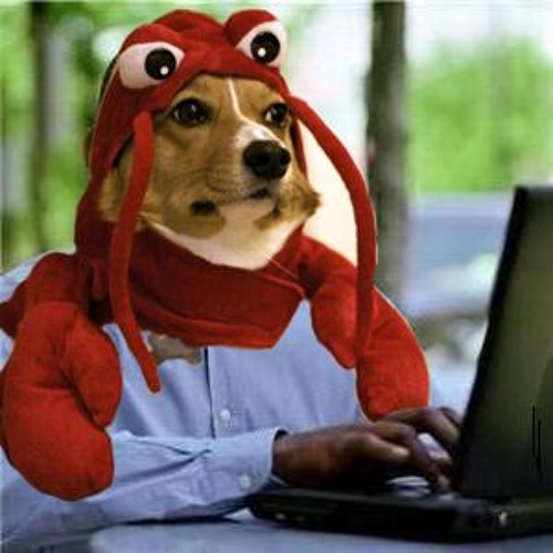 Corgi Meme Lobster
