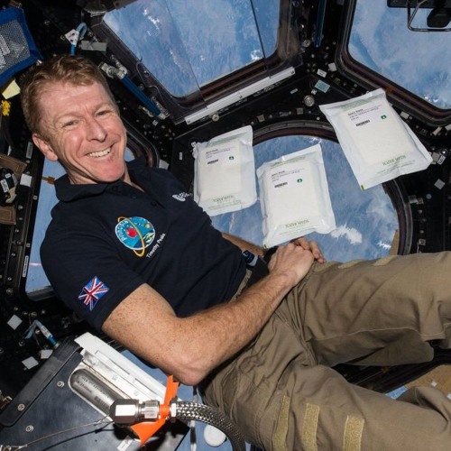 Stream Tim Peake ARISS Contact with Olomouc, Moravia, Czech Republic by ...