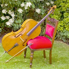 Mellow Cello Wedding Profile For Katie Horsfall Cello