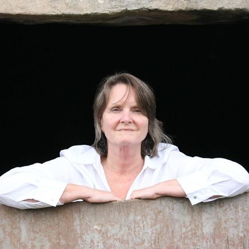 Stream When You Were Sweet Sixteen by Janet Fitzgerald | Listen online ...