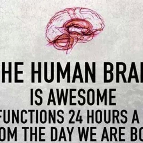 Stream What is mind over matter 1: a story by Rabbi Mordechai Zev Hecht ...