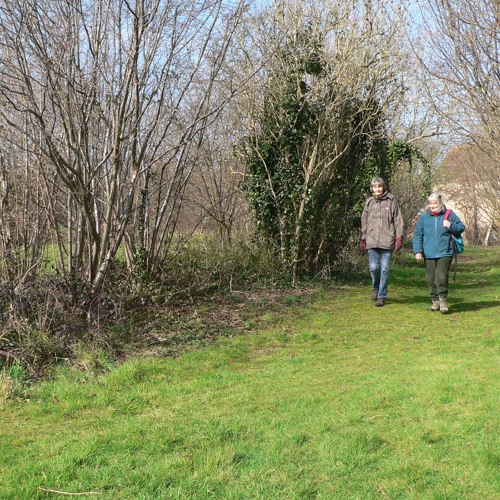 Stream Gavray Meadows, Bicester in Oxfordshire - 13/3/16 by Going Wild ...