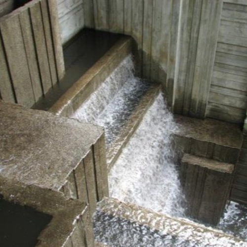 Stream crinaeae by MartinIddon | Listen online for free on SoundCloud