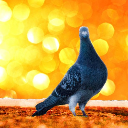 Stream Hazy Days (Brass Remix) by Matt Beaton 5 | Listen online for ...