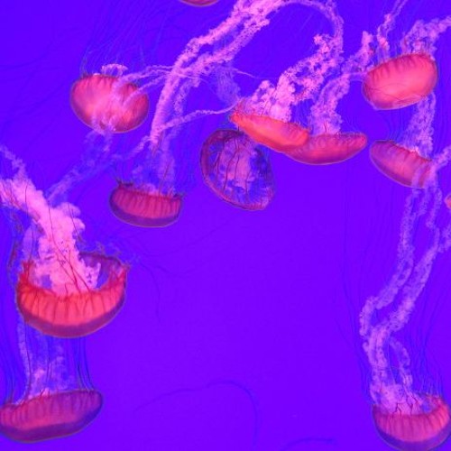 Stream Another by Jonra | Listen online for free on SoundCloud