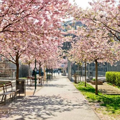 Stream Waitin' for SPRING by Marc St. James | Listen online for free on ...