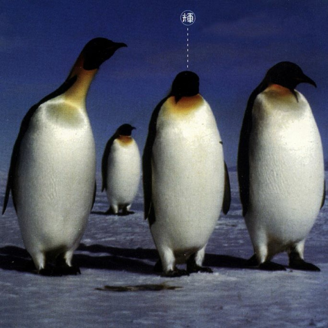 Stream Wuub by woob | Listen online for free on SoundCloud