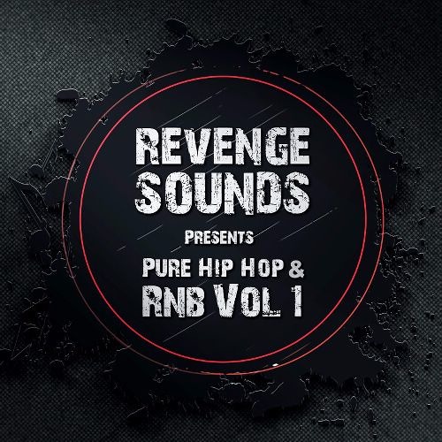 Stream Pure Hip Hop And Rnb Vol 1 By Synthpresets Listen Online For