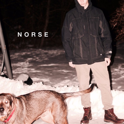 Stream Lake Front Property Prod. DJ NIZZY NICK by NORSE | Listen online ...