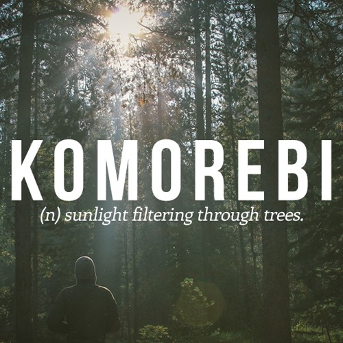 Stream Komorebi - Jacob Cook by Jacob Cook | Listen online for free on ...