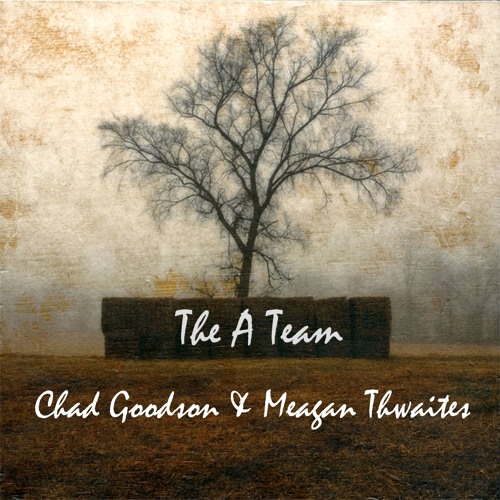 Stream Ed Sheeran - The A Team (Chad Goodson & Meagan Thwaites Cover ...