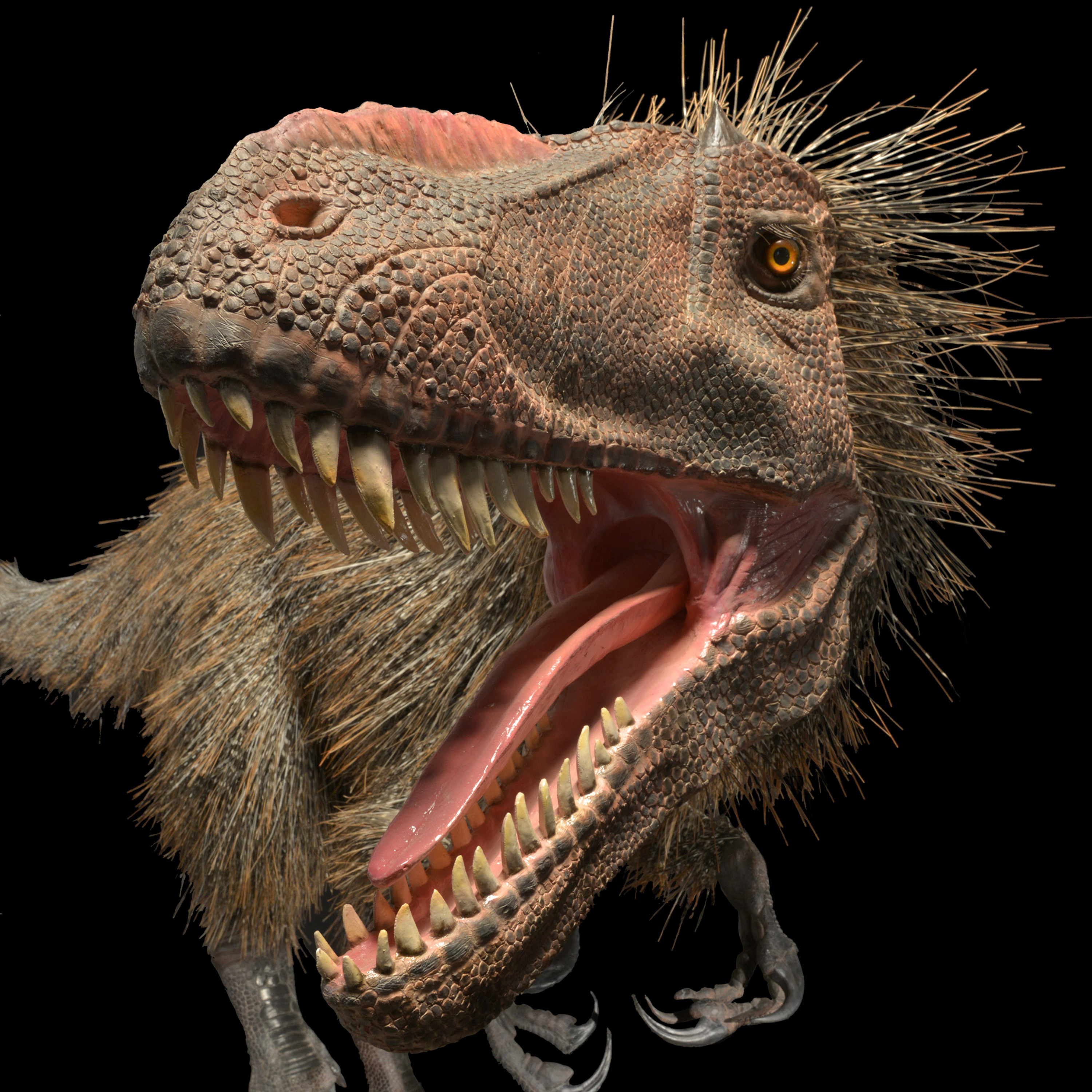 Dinosaurs Among Us: Conversation with Curators from Science at AMNH on Hark