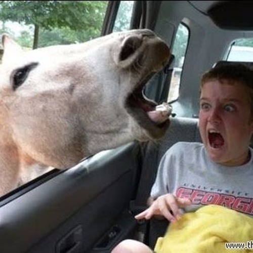 Stream Jonatan Järpehag - Clumsy Police Pursuit and Patrol 1 by A L B A ...