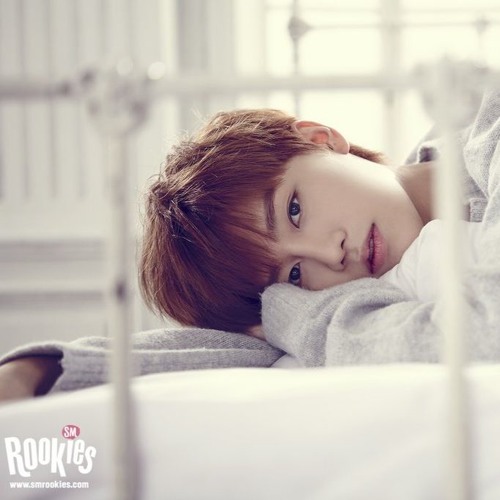 Smrookies Taeil Profile