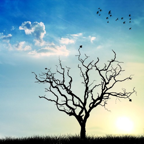 Stream Quiet Tree by Thoribass | Listen online for free on SoundCloud