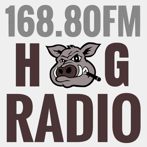 Stream Femcan Radio | Listen to Hog Radio playlist online for free on ...