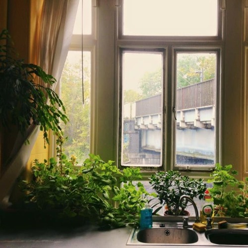 Stream Blue Room Lullaby - Original by Daisy Doherty | Listen online ...