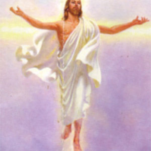 Stream Jesus Has Been Reborn by DerpyMcFab | Listen online for free on ...